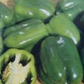 Pepper - Keystone Green Giant Bell – Marvins Gardens