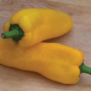 Pepper - Big Daddy – Marvins Gardens